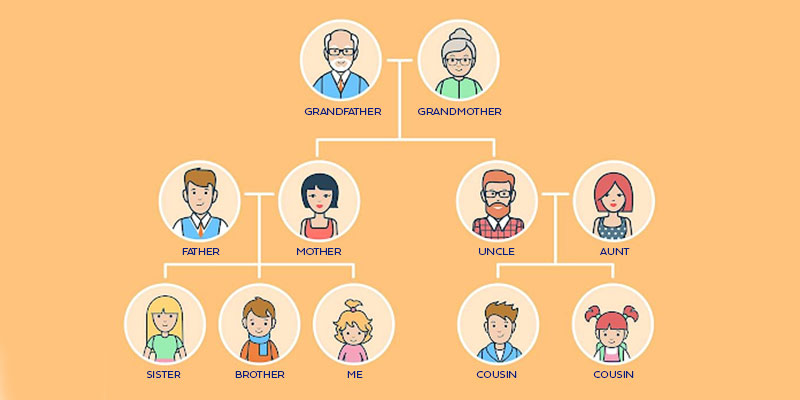 Trees Data Structure